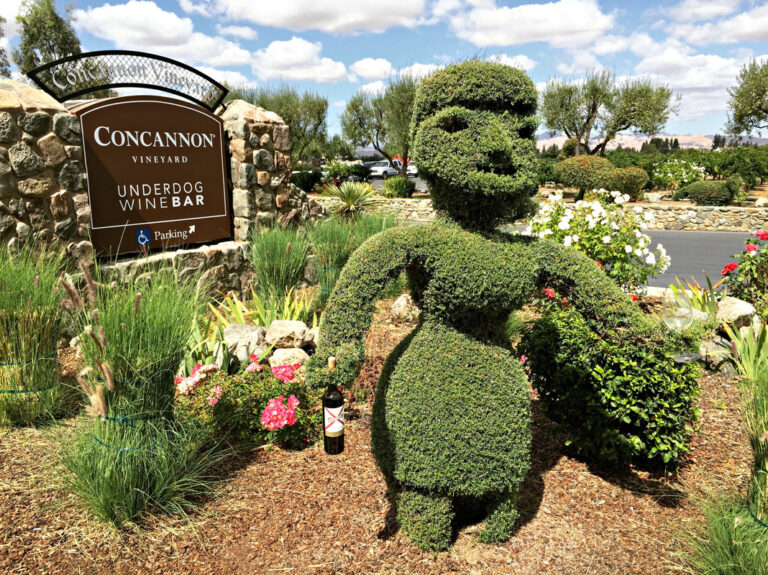 15 Things To Do In Livermore California - City Towner