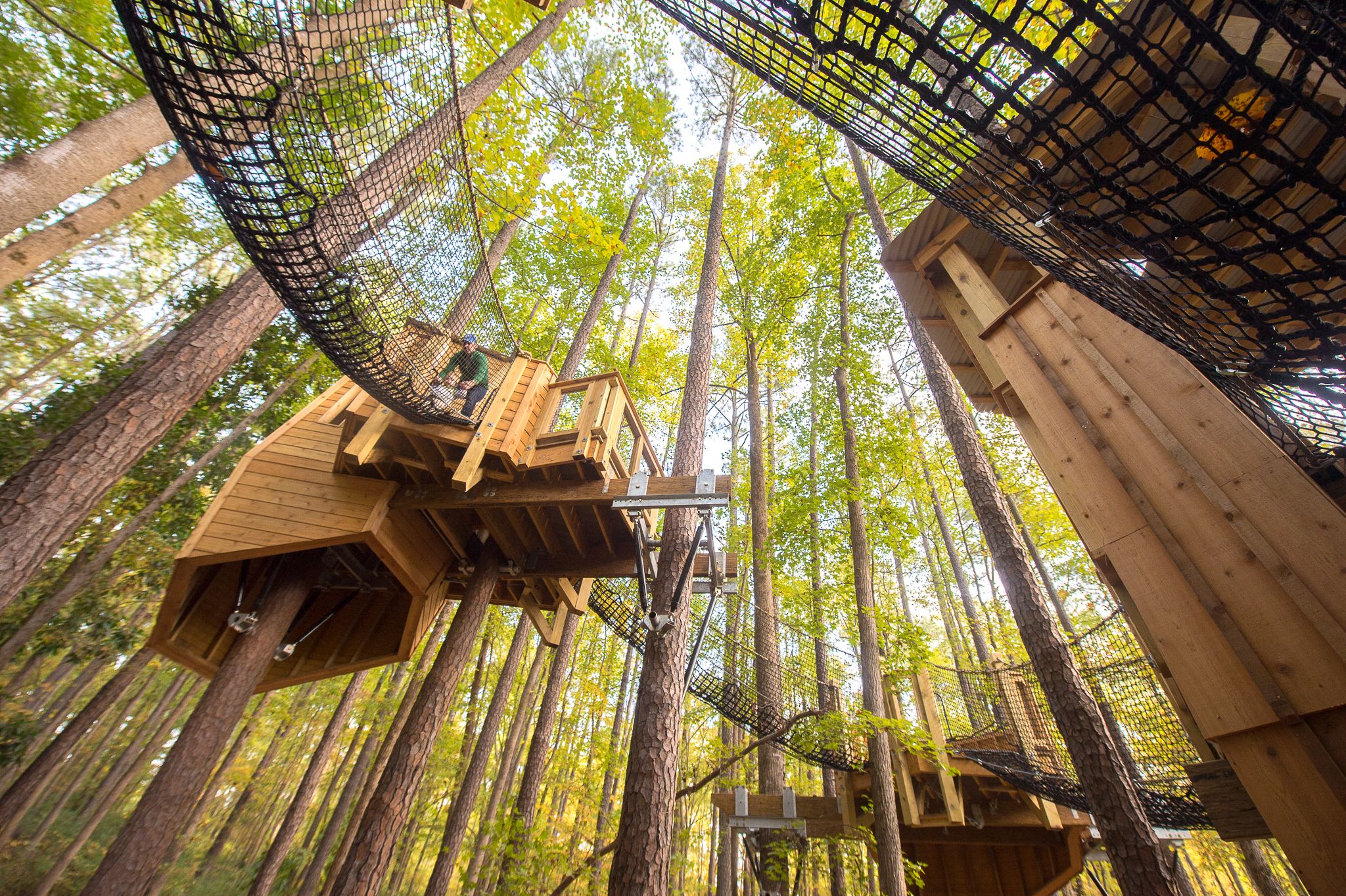 21 Fun Facts About Durham North Carolina - City Towner